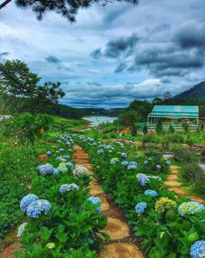 Đường hầm đất sét: Quá khứ và hiện tại tụ hội một không gian ⋆ Blog iDalat